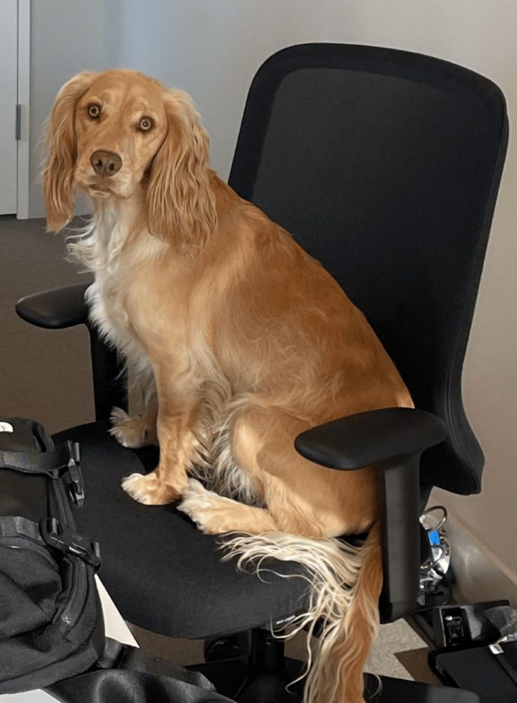 Meet the Team - JWE Media