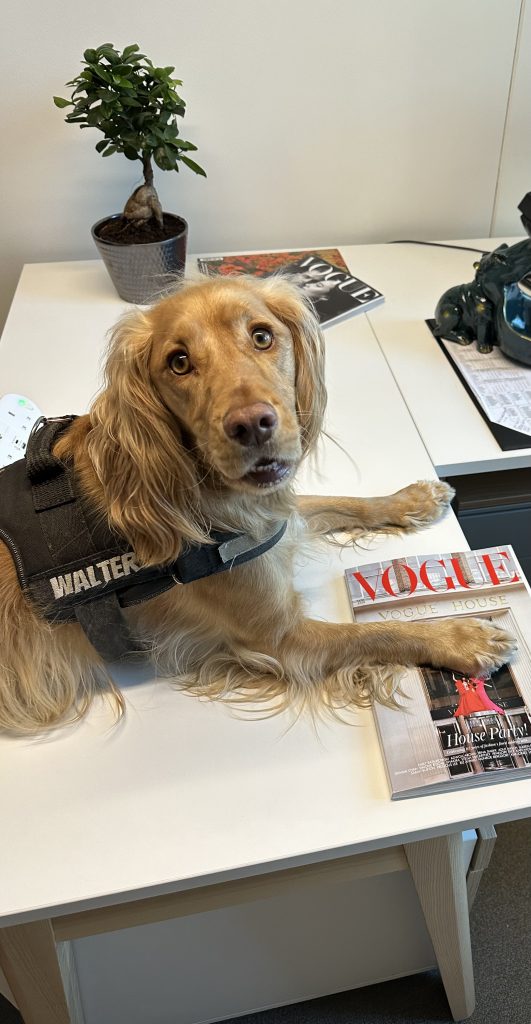 Meet the Team - JWE Media