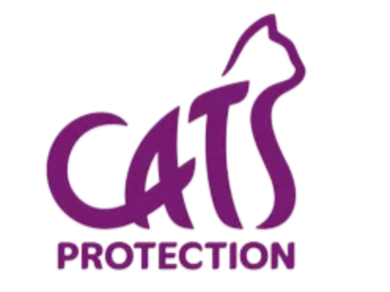 Expert Media Buying & Planning | JWE Media